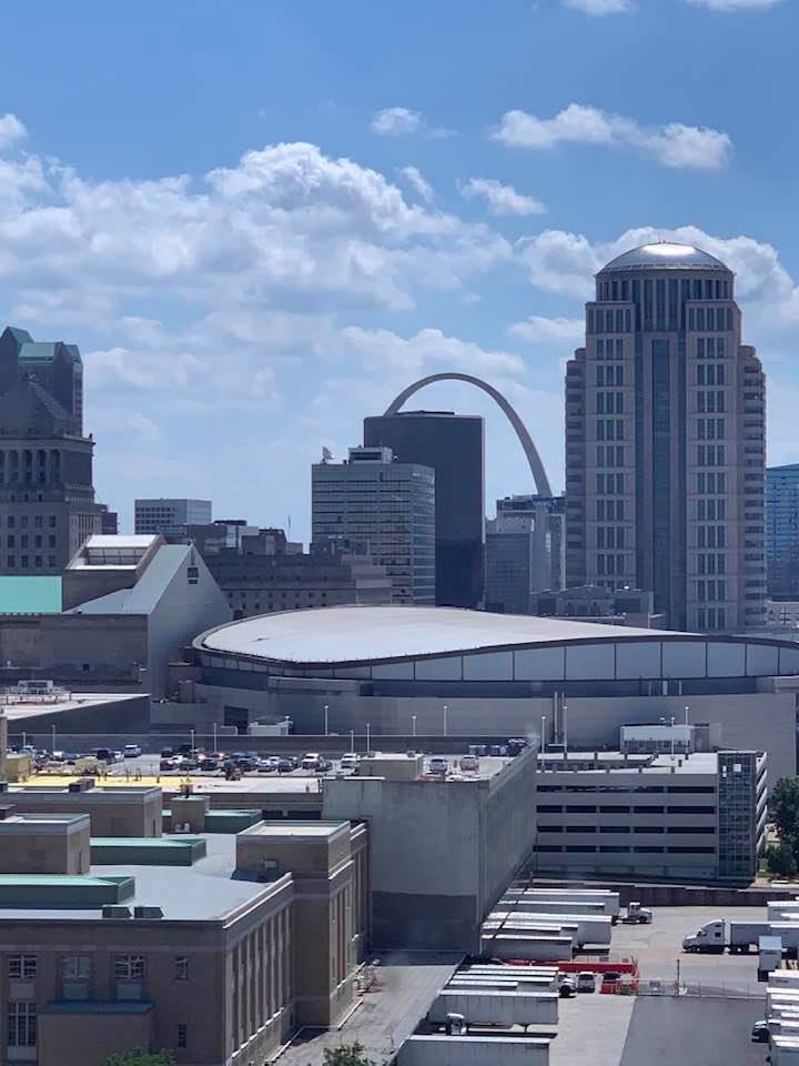 A View from the St. Louis Wheel! - Traveling Adventures of a Farm Girl